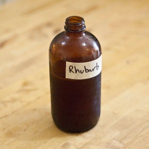 Barb’s Rhubarb Cocktail & Syrup | Home Bar Girl